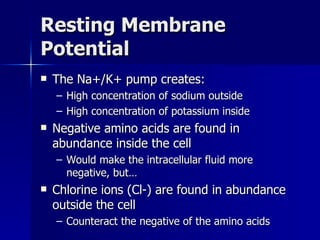Cell membrane potential | PPT