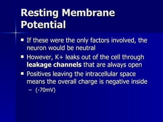Cell membrane potential | PPT
