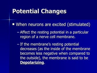 Cell membrane potential | PPT
