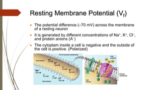 Cell membrane potential.pdf