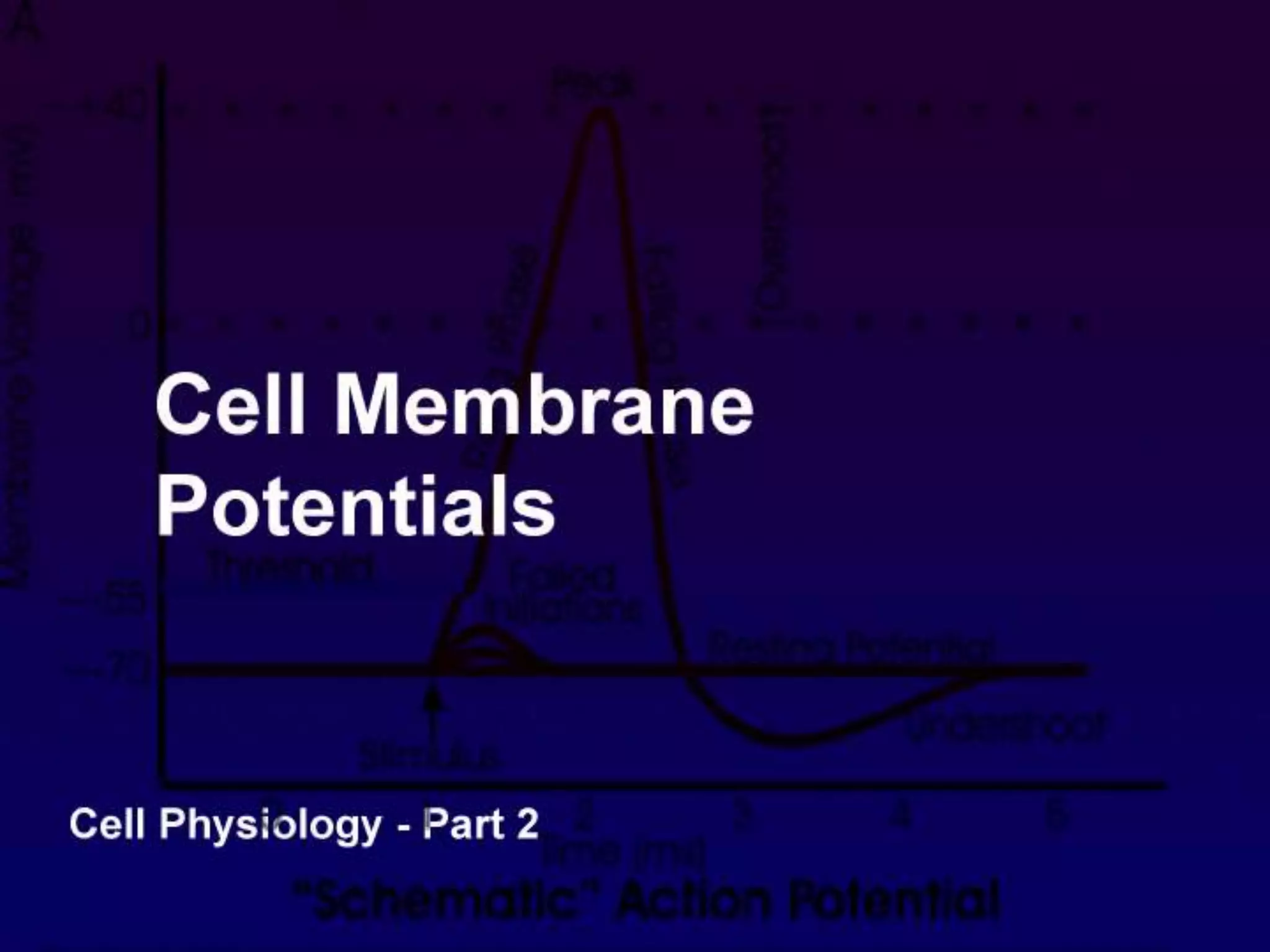 Cell Membrane Potential By Dr. Muarraf.pptx