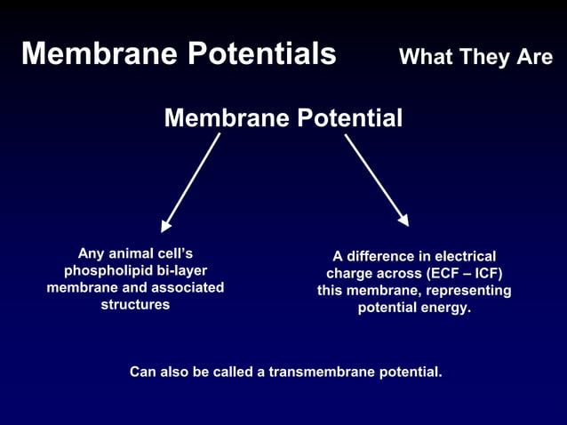 Cell Membrane Potential By Dr. Muarraf.pptx
