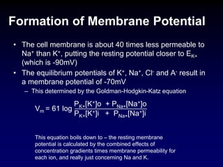 Cell Membrane Potential By Dr. Muarraf.pptx