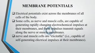cell membrane potentials picture.pptx.... | PPT