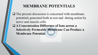 cell membrane potentials picture.pptx.... | PPT