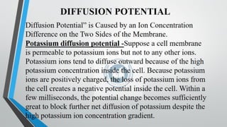 cell membrane potentials picture.pptx.... | PPT