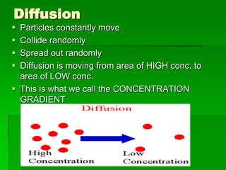 Cell membrane powerpoint diffusion and osmosis revised | PPTX