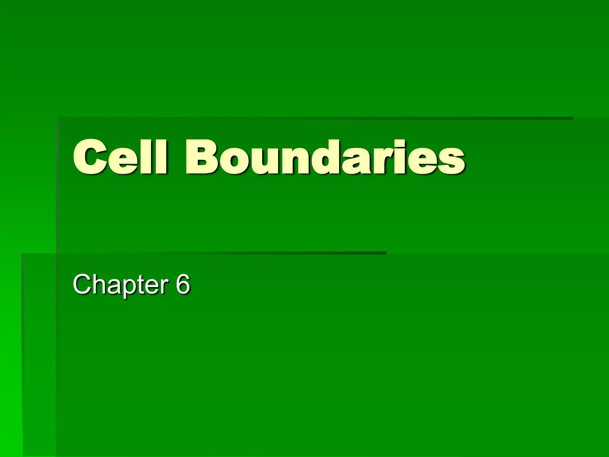 Cell membrane powerpoint diffusion and osmosis revised | PPT