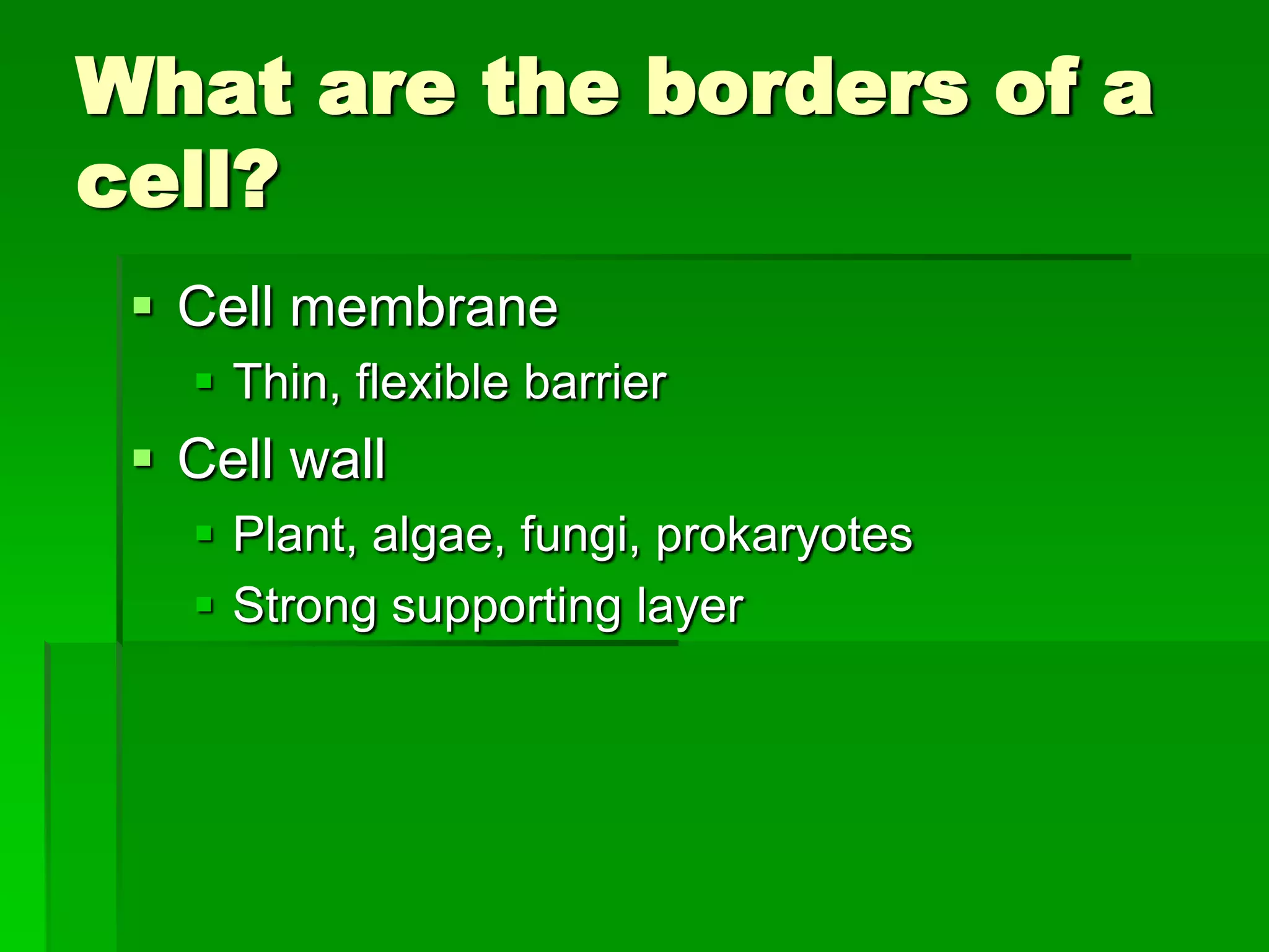 Cell membrane powerpoint diffusion and osmosis revised | PPT