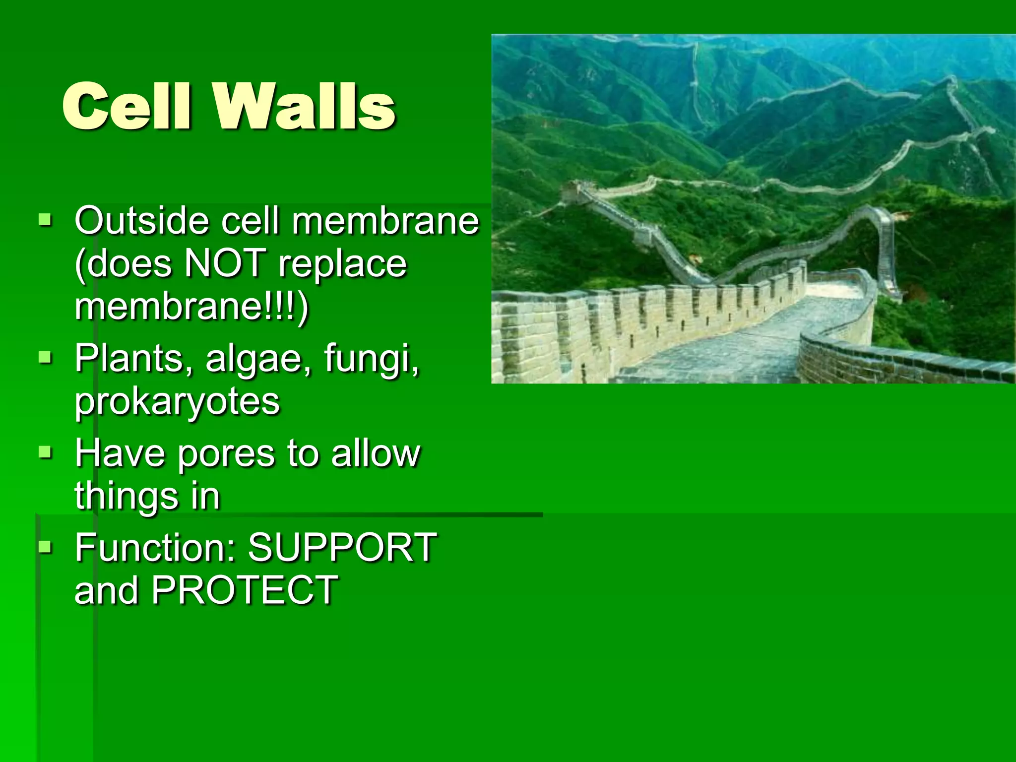 Cell membrane powerpoint diffusion and osmosis revised | PPTX
