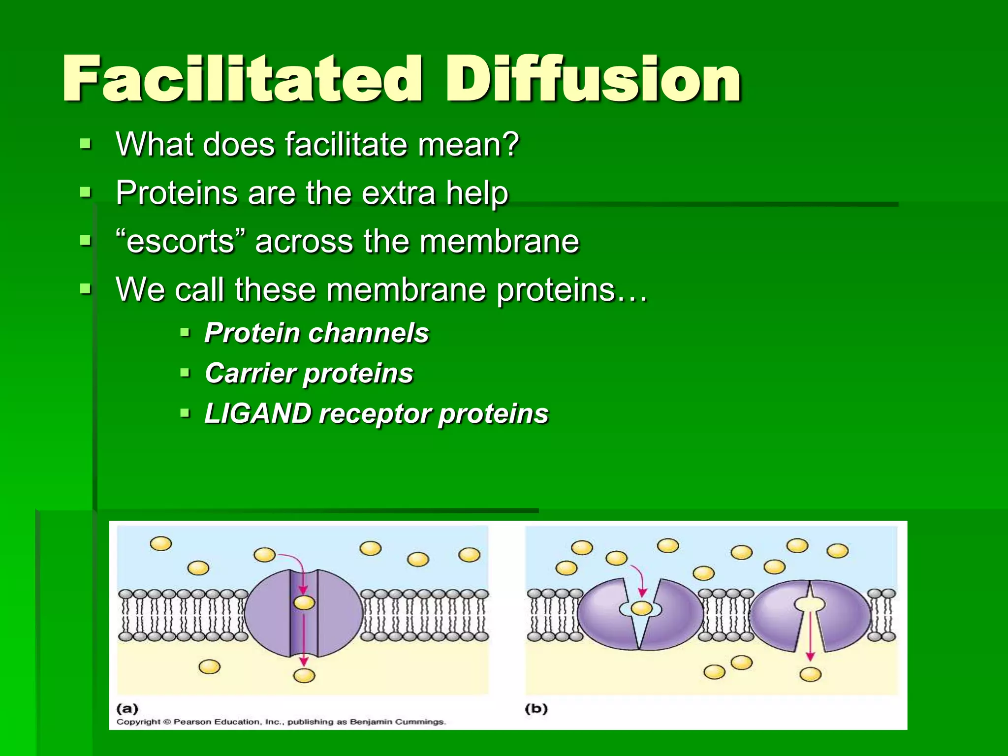 Cell membrane powerpoint diffusion and osmosis revised | PPTX
