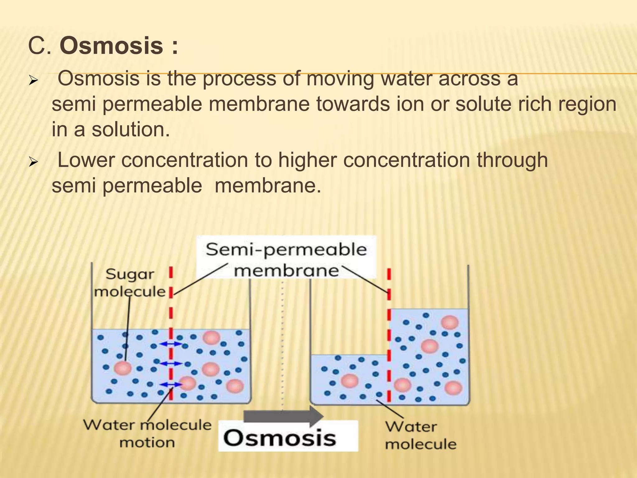 Cell membrane ppt | PPTX
