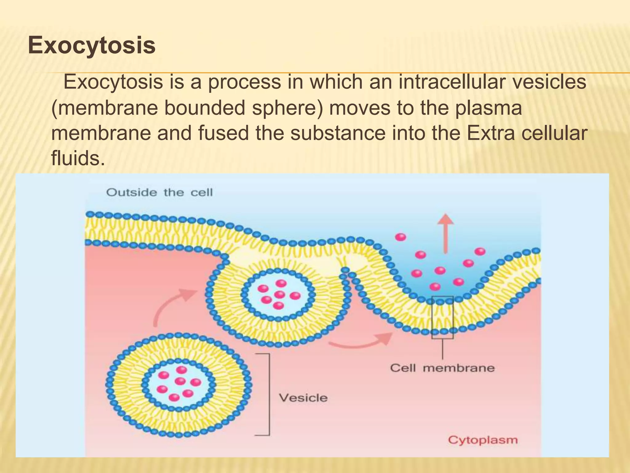 Cell membrane ppt | PPTX