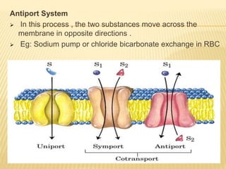 Cell membrane ppt | PPTX