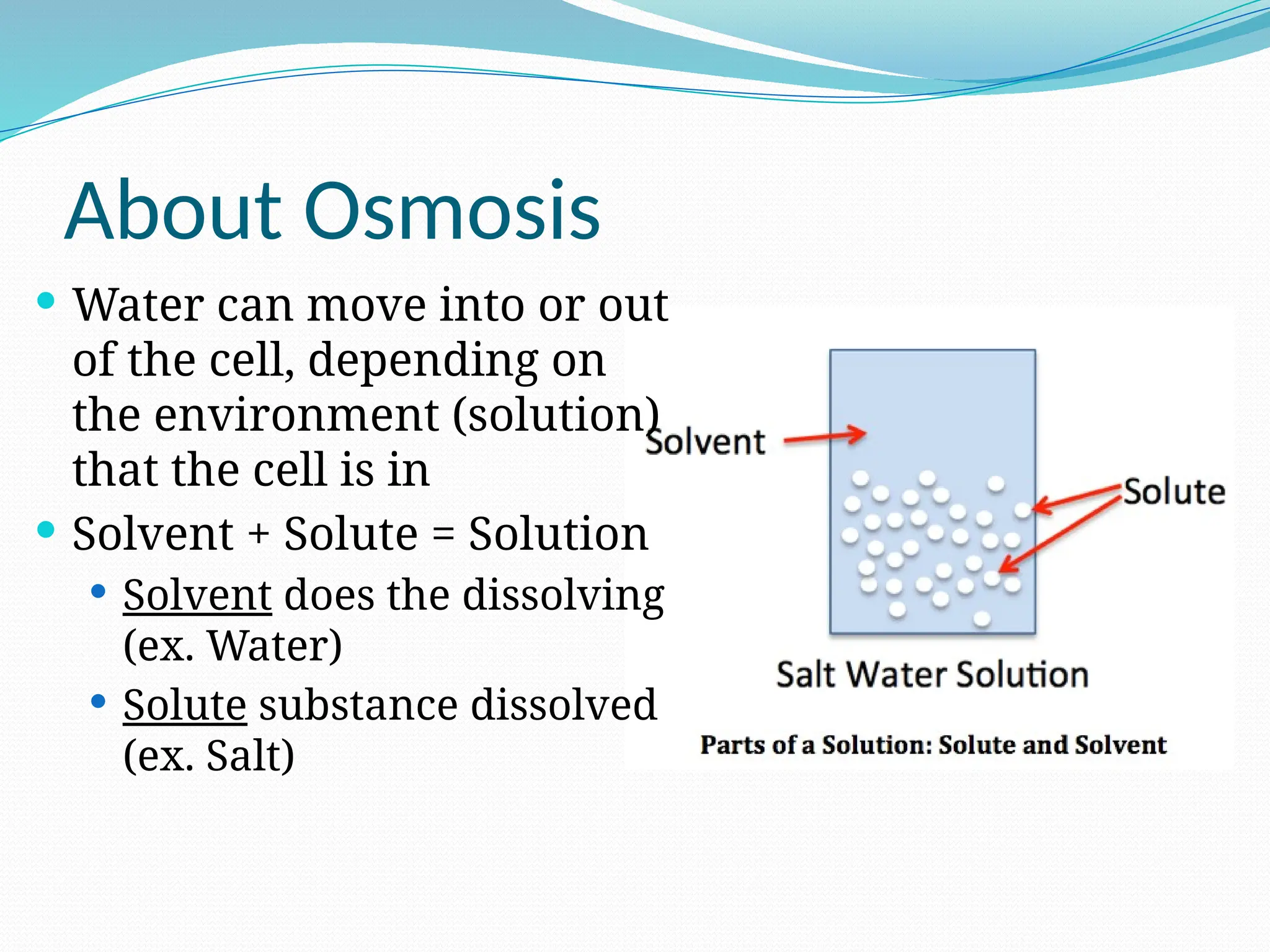 Cell Membrane PPT guidelines for 1st year | PPTX