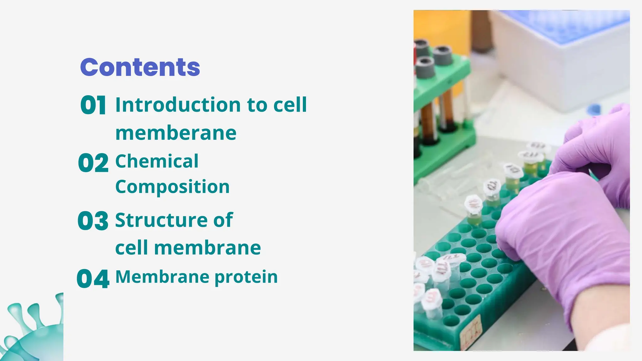 cell membrane and membrane proteins .pptx