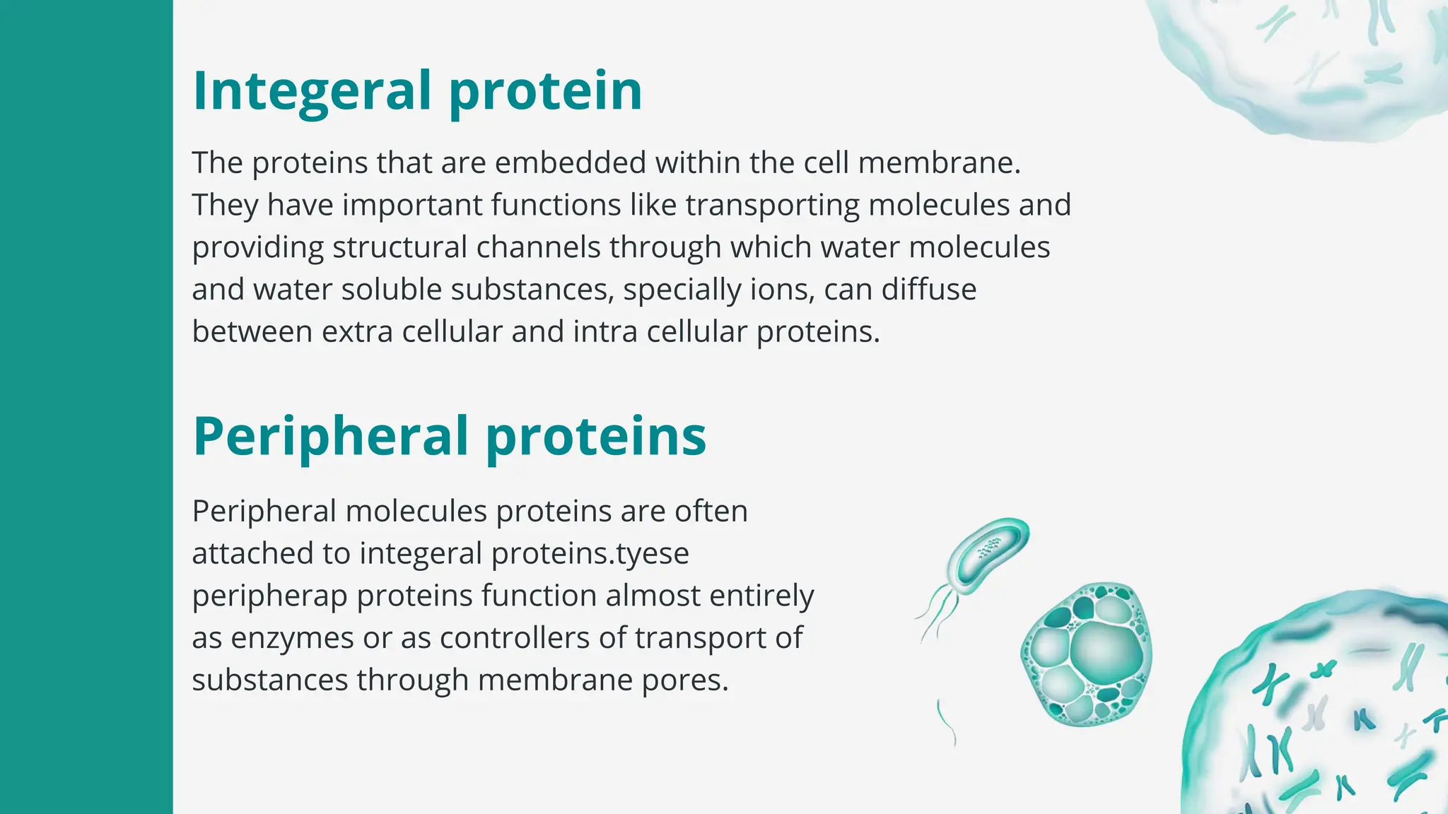 cell membrane and membrane proteins .pptx