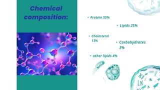 cell membrane and membrane proteins .pptx