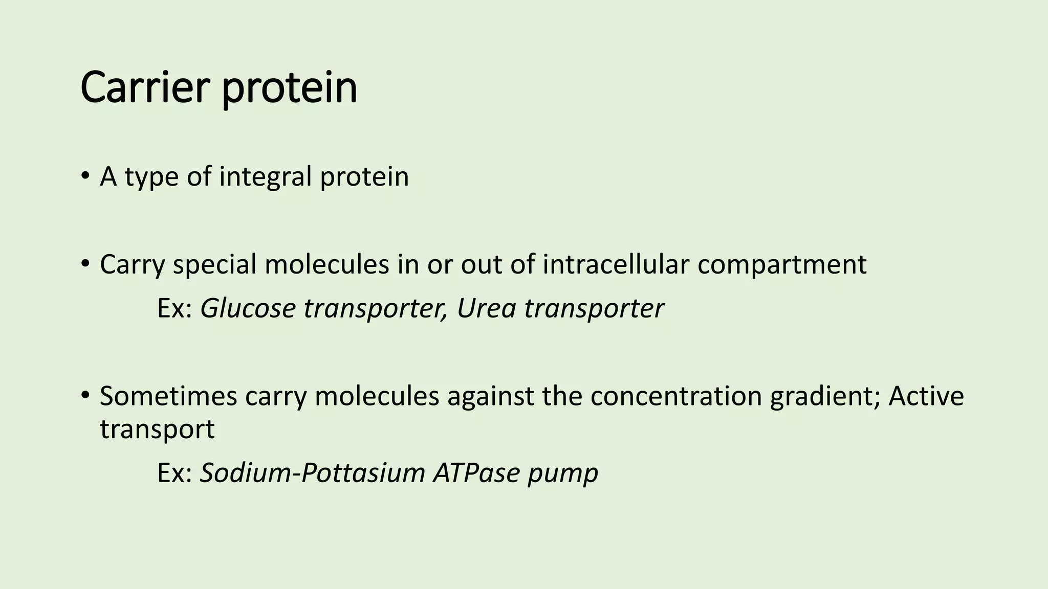 Cell Membrane Proteins | PPTX