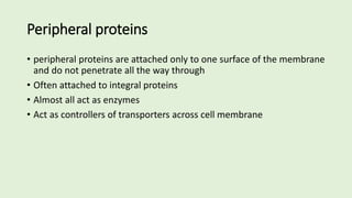 Cell Membrane Proteins | PPTX
