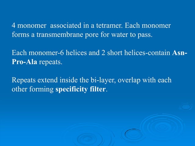 Cell membrane_rass biosolution | PPT