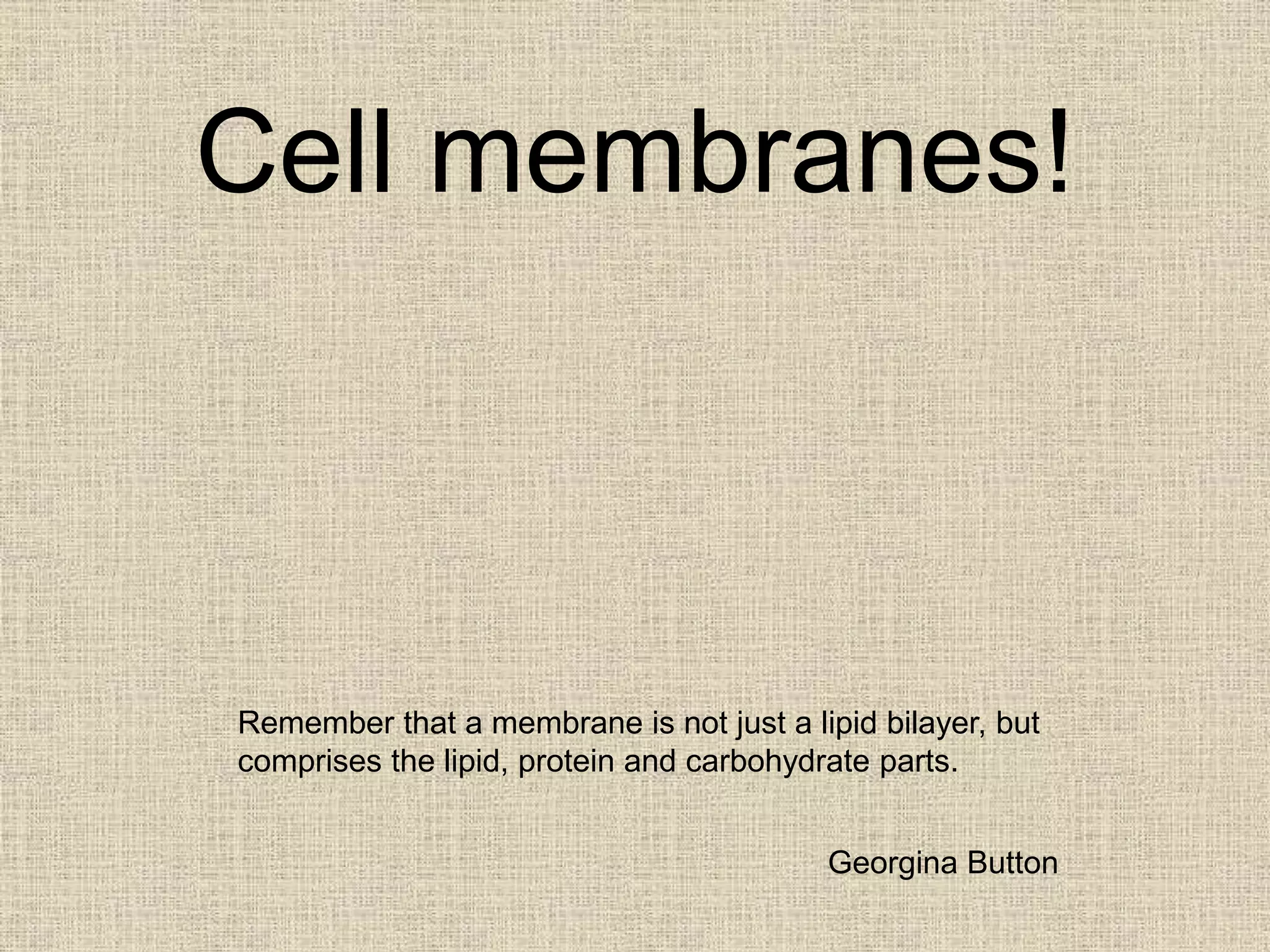 Cell Membranes! | PPT