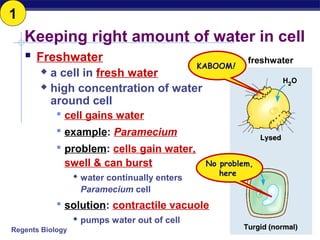 Cell membranes | PPT