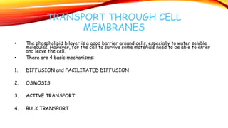 cell membranes.pptx