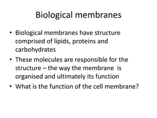 Cell membranes 2019.pptx The fluid mosaic model | PPTX