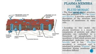 Cell membranes and their principal structure and function | PPT