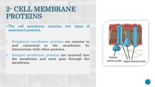 Cell membranes and their principal structure and function | PPT | Free ...