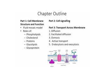 cell membranes and transport FINAl a level notes L.pptx