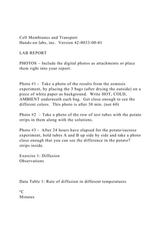 Cell Membranes and TransportHands-on labs, inc. Version 42-00.docx ...