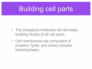 Cell Membranes by Maryam Sarwar.ppt