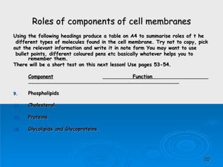 Cell Membranes | PPT