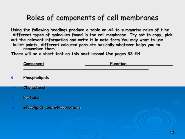 Cell Membranes | PPT | Chemistry | Science