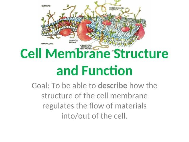 Cell Membranes Part II including Active Transport 1213h.ppt