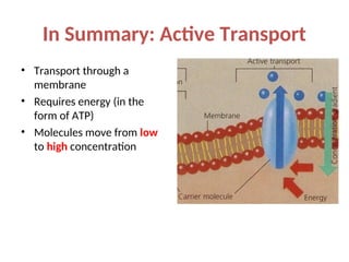 Cell Membranes Part II including Active Transport 1213h.ppt