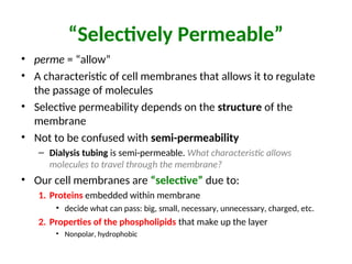 Cell Membranes Part II including Active Transport 1213h.ppt