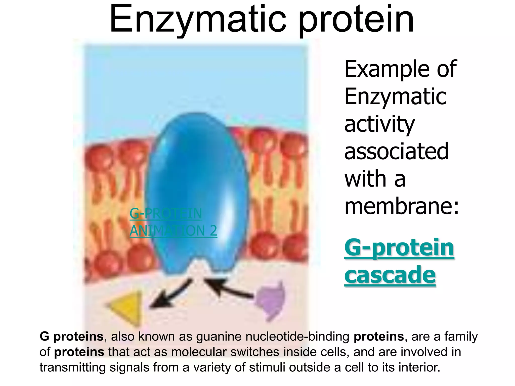 Cell membrane structure. &and functions | PPTX