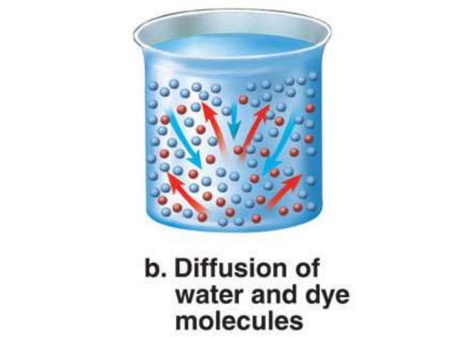 Cell membrane structure. &and functions | PPTX | Chemistry | Science