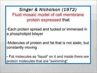 Grade 11 - Cell Membran and Transport | PPT