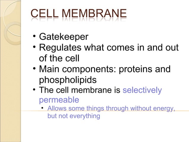 Cell membrane structure | PPT | Chemistry | Science