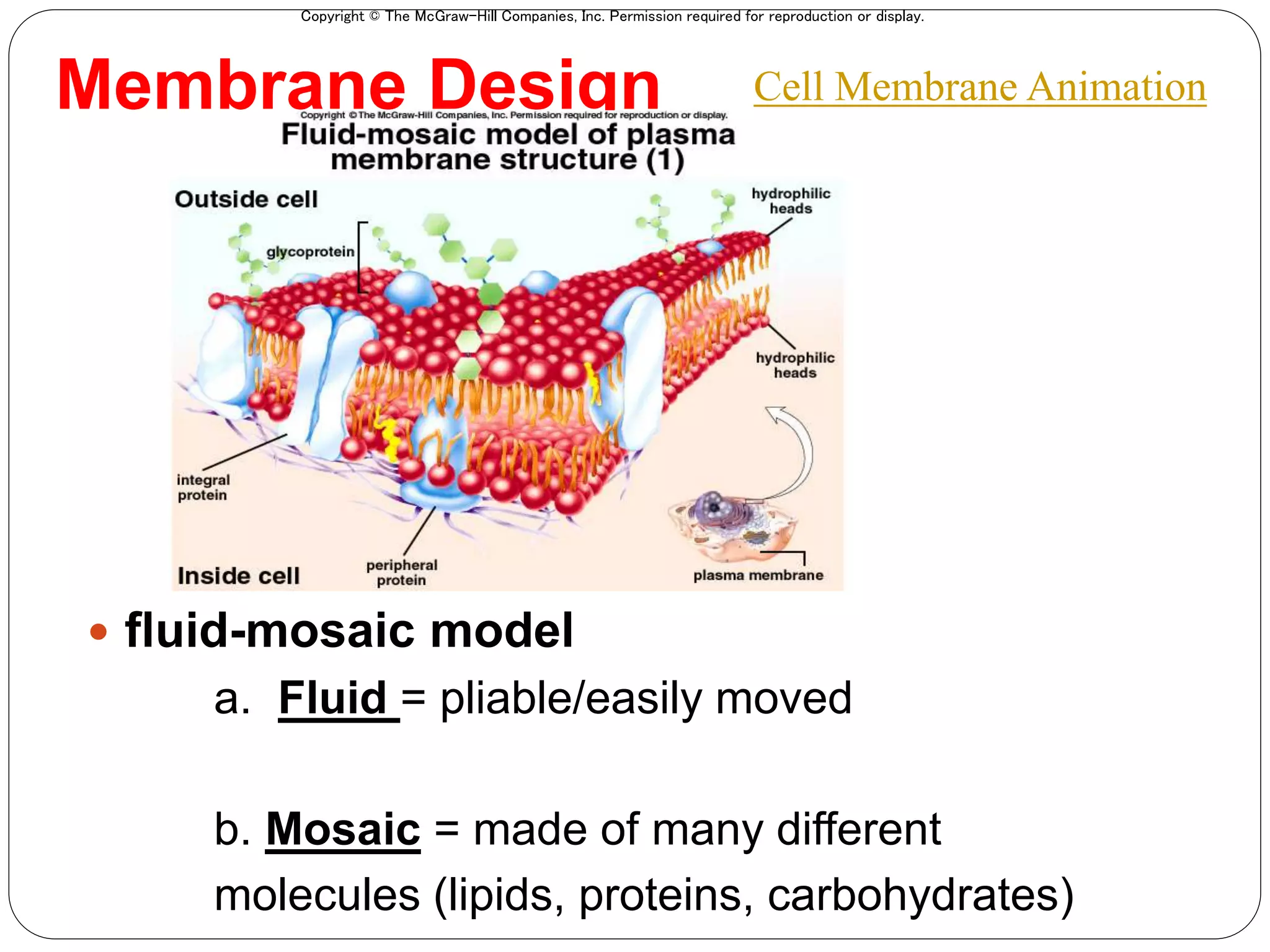 cell membrane structure.ppt