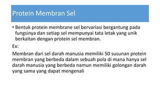 Cell Membrane Structure.pptx
