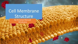 Cell Membrane Structure.pptx