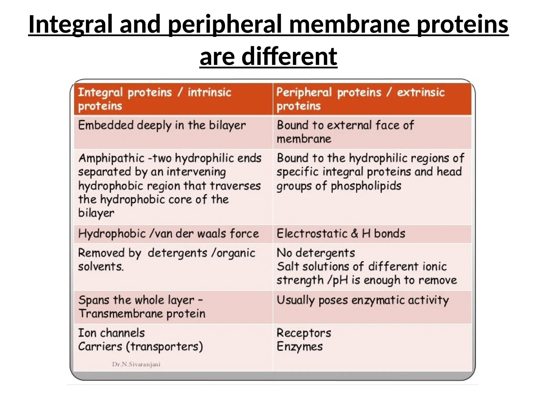 cell membrane (structure) and function.pptx