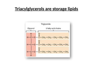 cell membrane (structure) and function.pptx