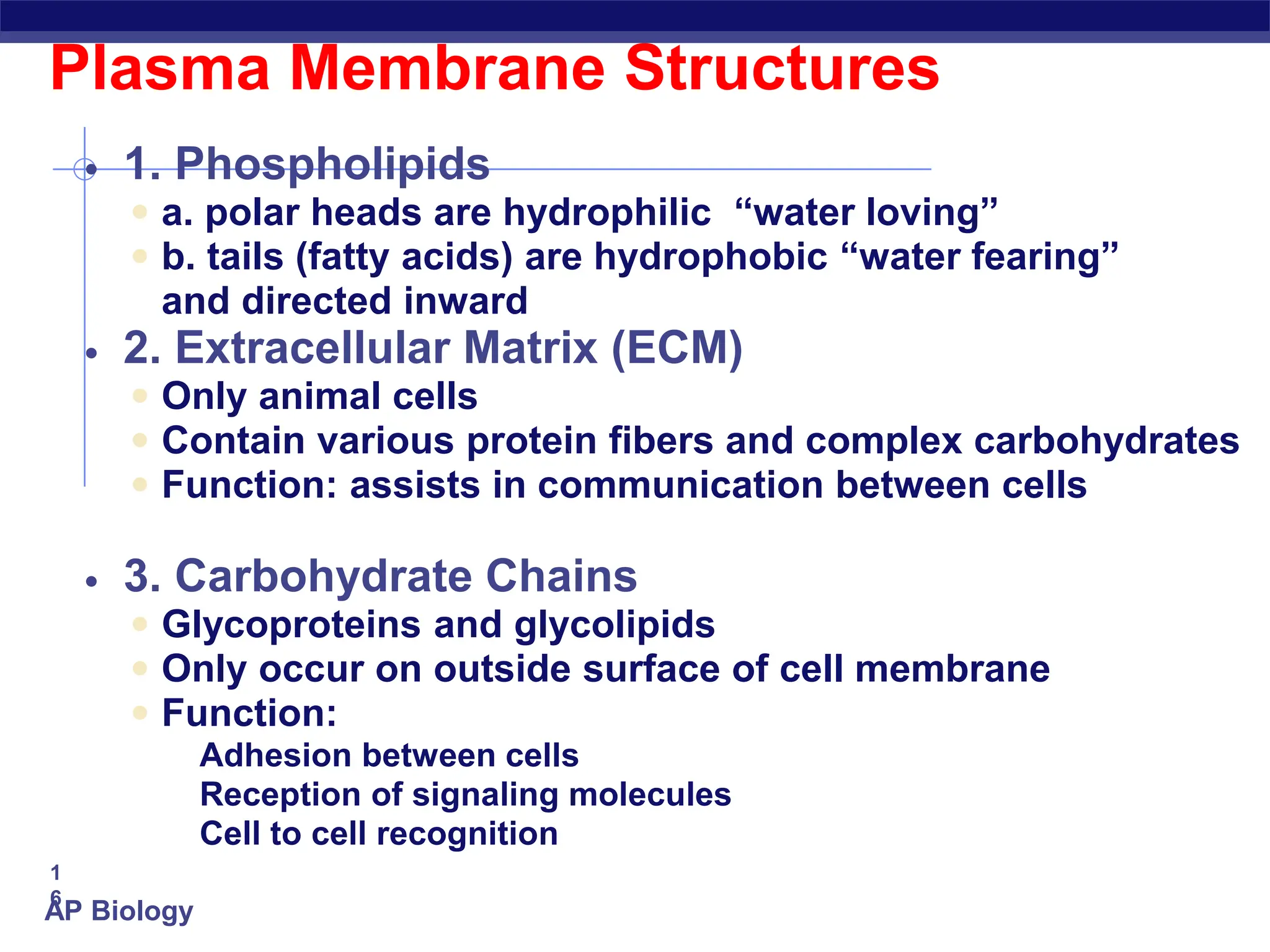 cell membrane structure and function 2014.ppt