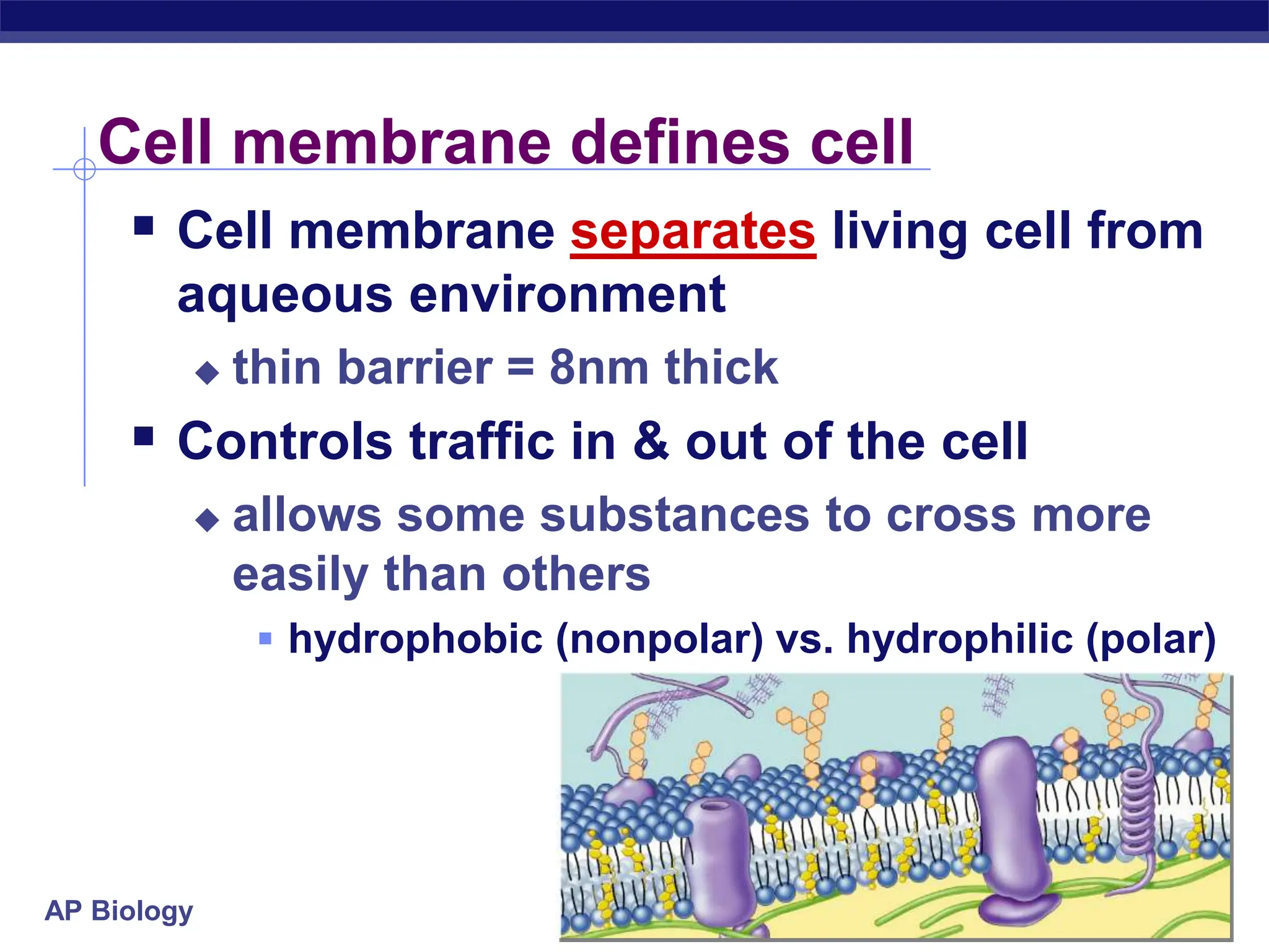 cell membrane structure and function 2014.ppt | Free Download